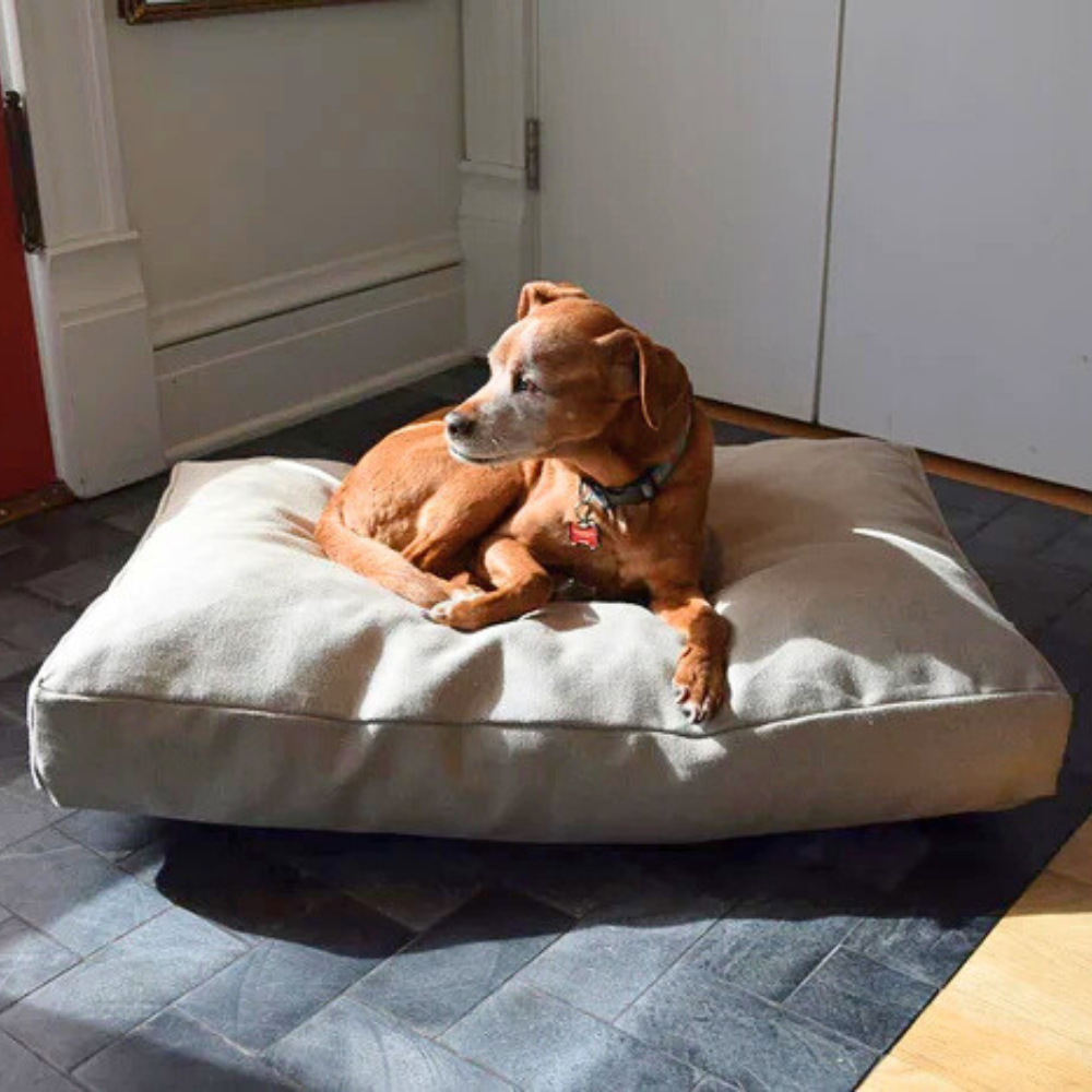 Organic Dog Bed - Hemp Cover & Latex Fill